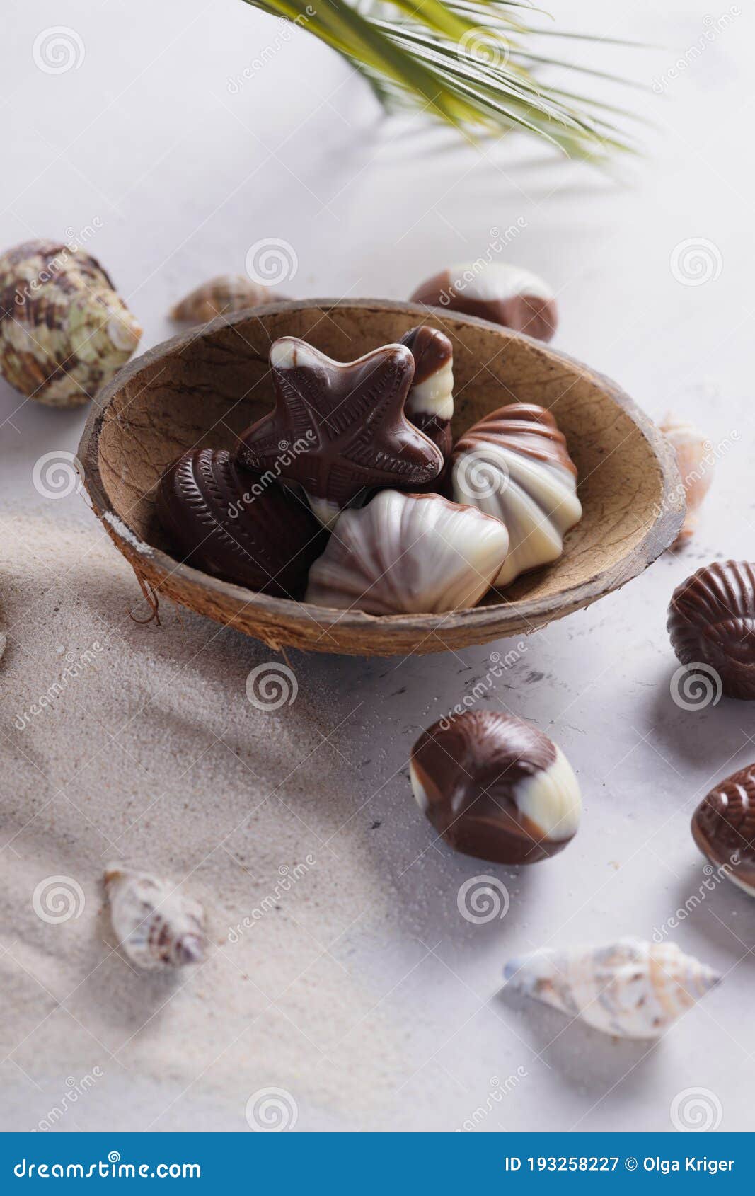 Chocolate Candy Shell Shape Stock Image - Image of mixed, shell: 193258227