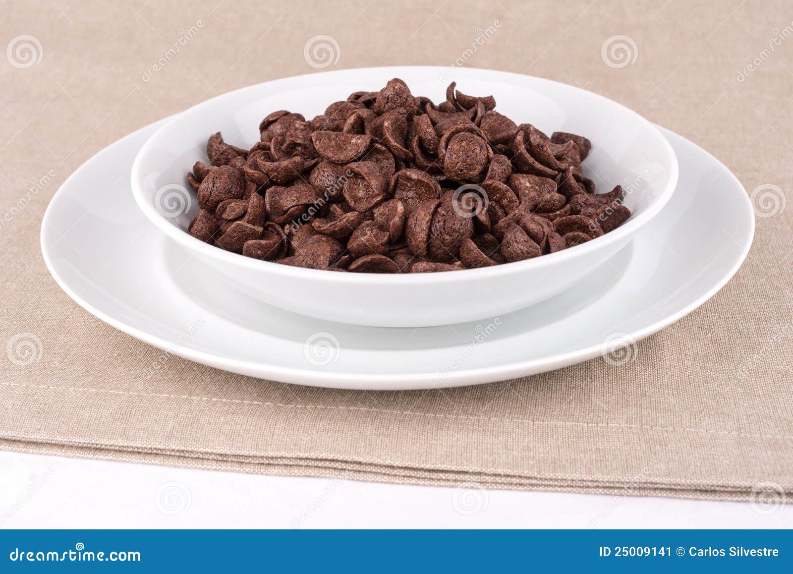 Chocolate cereals. stock image. Image of nature, cereal - 25009141