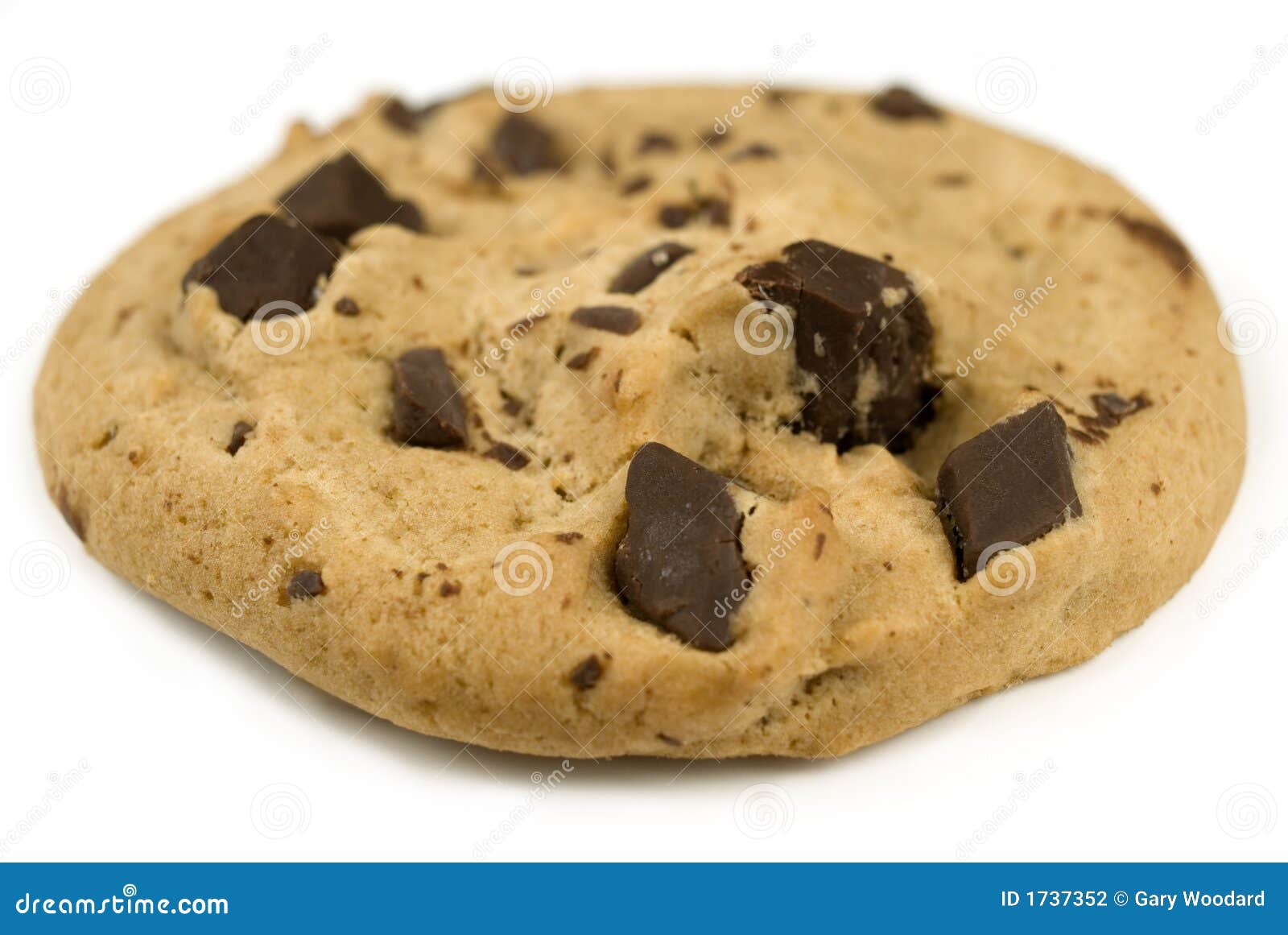 Chocolate Chip Cookie. stock photo. Image of isolated - 1737352