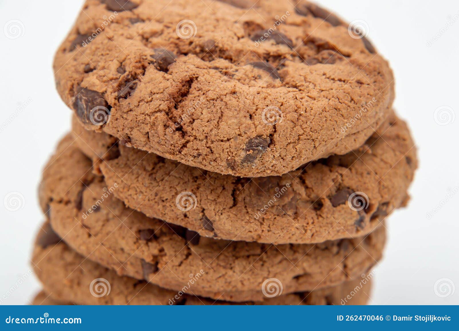 Chocolate chip cookie 5 stock photo. Image of chocolate - 262470046