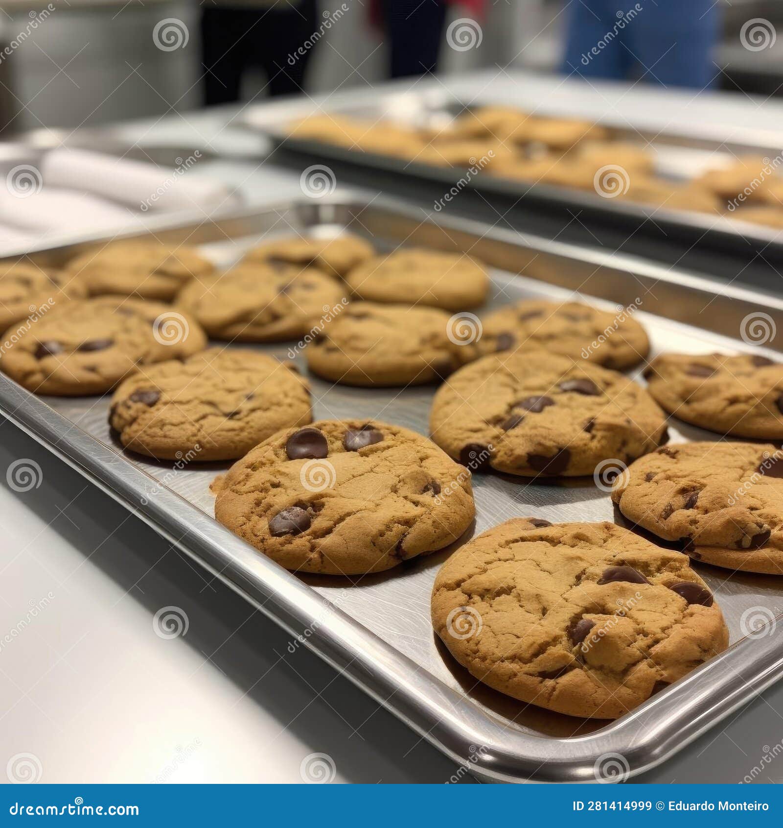 Chocolate Chip Cookies on a Baking Sheet in a Bakery Shop Stock Image ...