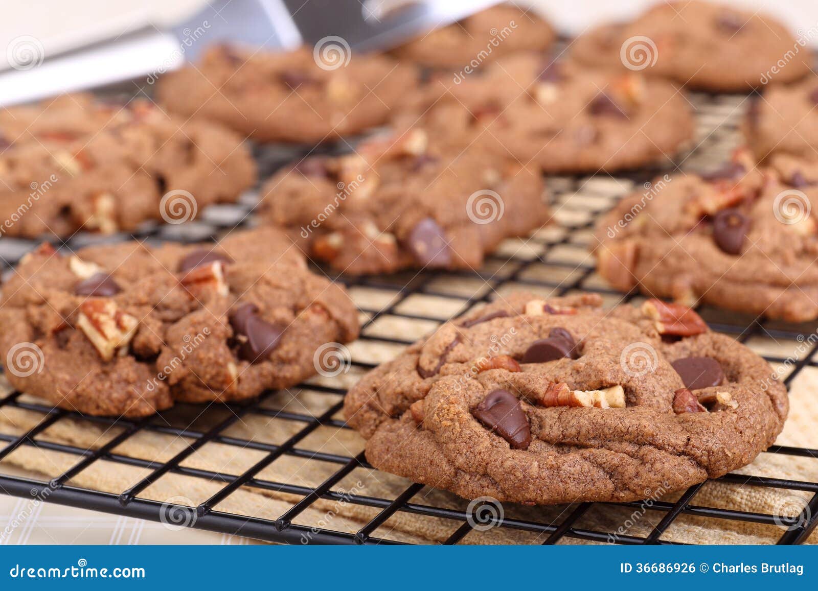 Chocolate Chip Cookies Cooling Stock Photo - Image of pecan, cookie ...