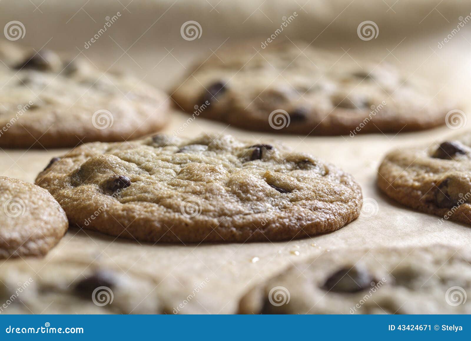 Bad Cookies Royalty-Free Stock Photo | CartoonDealer.com #19915443