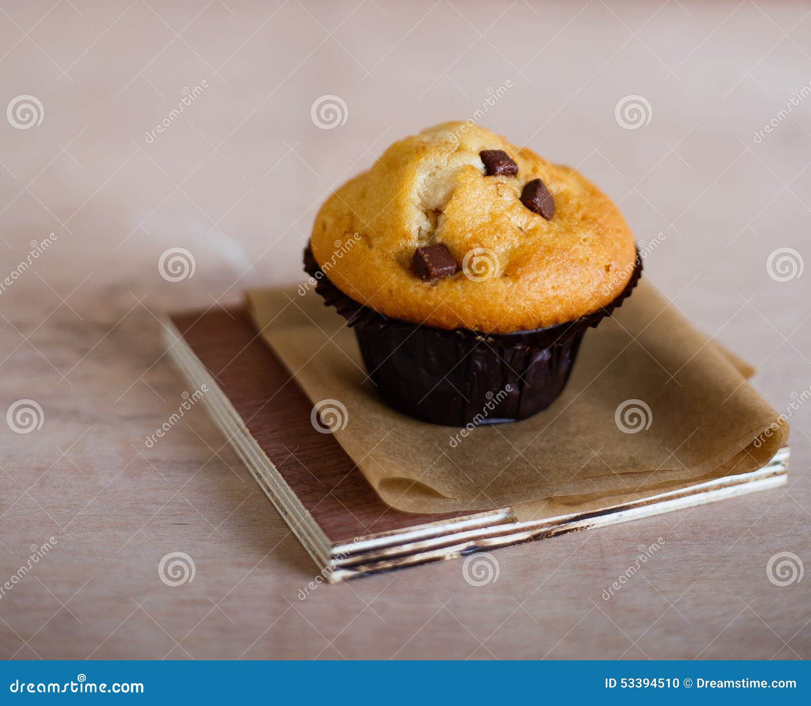 Chocolate Chip Muffin stock photo. Image of front, single - 53394510