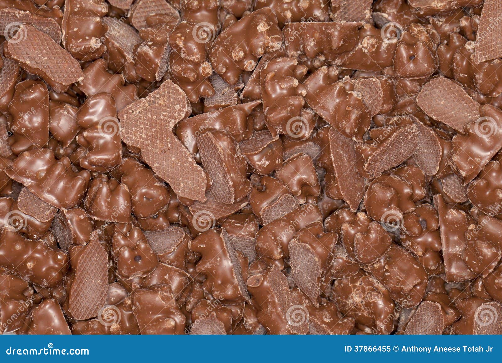 Chocolate Coated Gummy Bear Candy Stock Image - Image of coated, sour ...