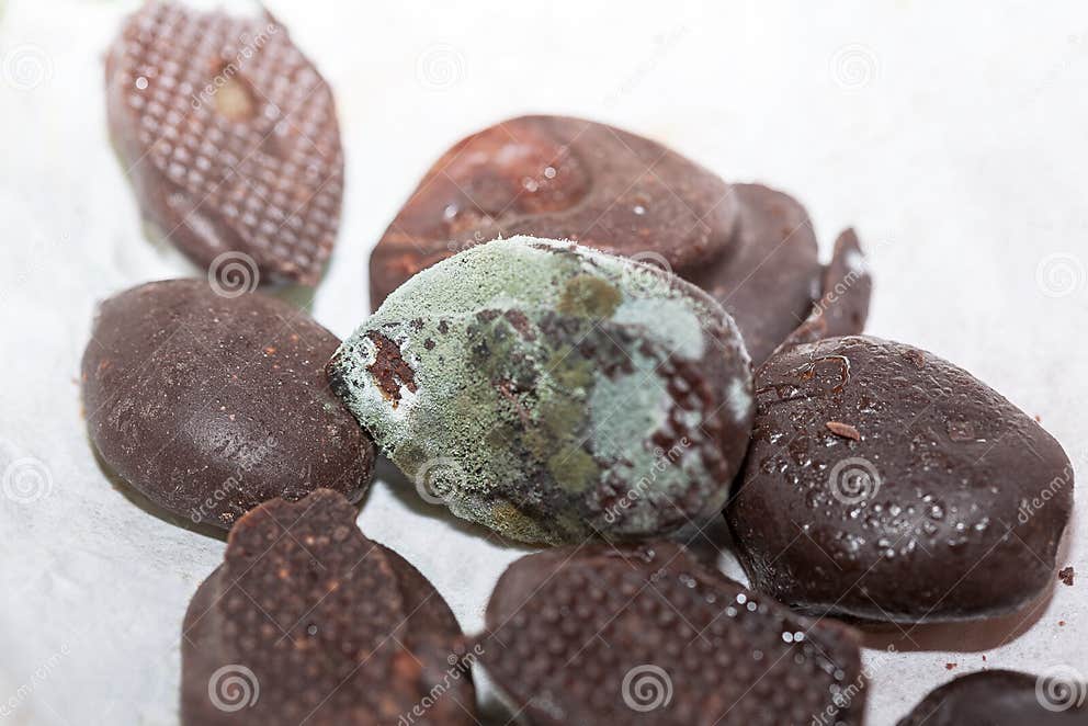 Chocolate con molde imagen de archivo. Imagen de microbios - 259433333