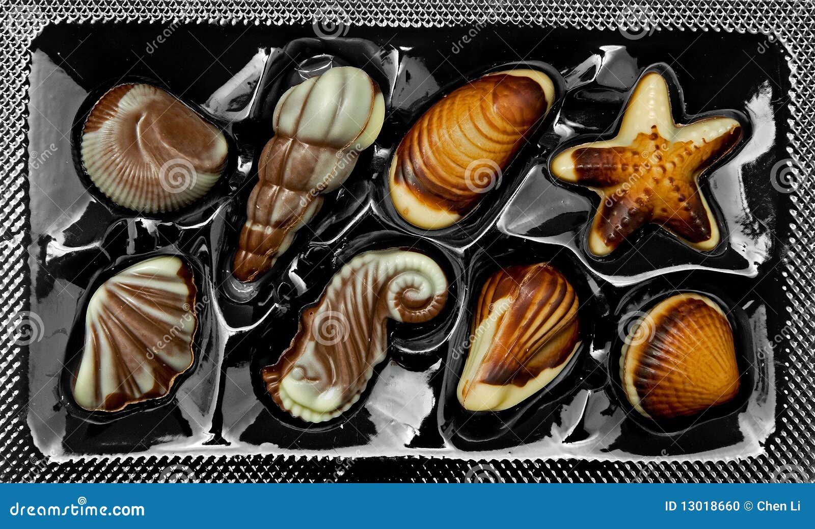 Chocolate Conch Photos - Free & Royalty-Free Stock Photos from Dreamstime