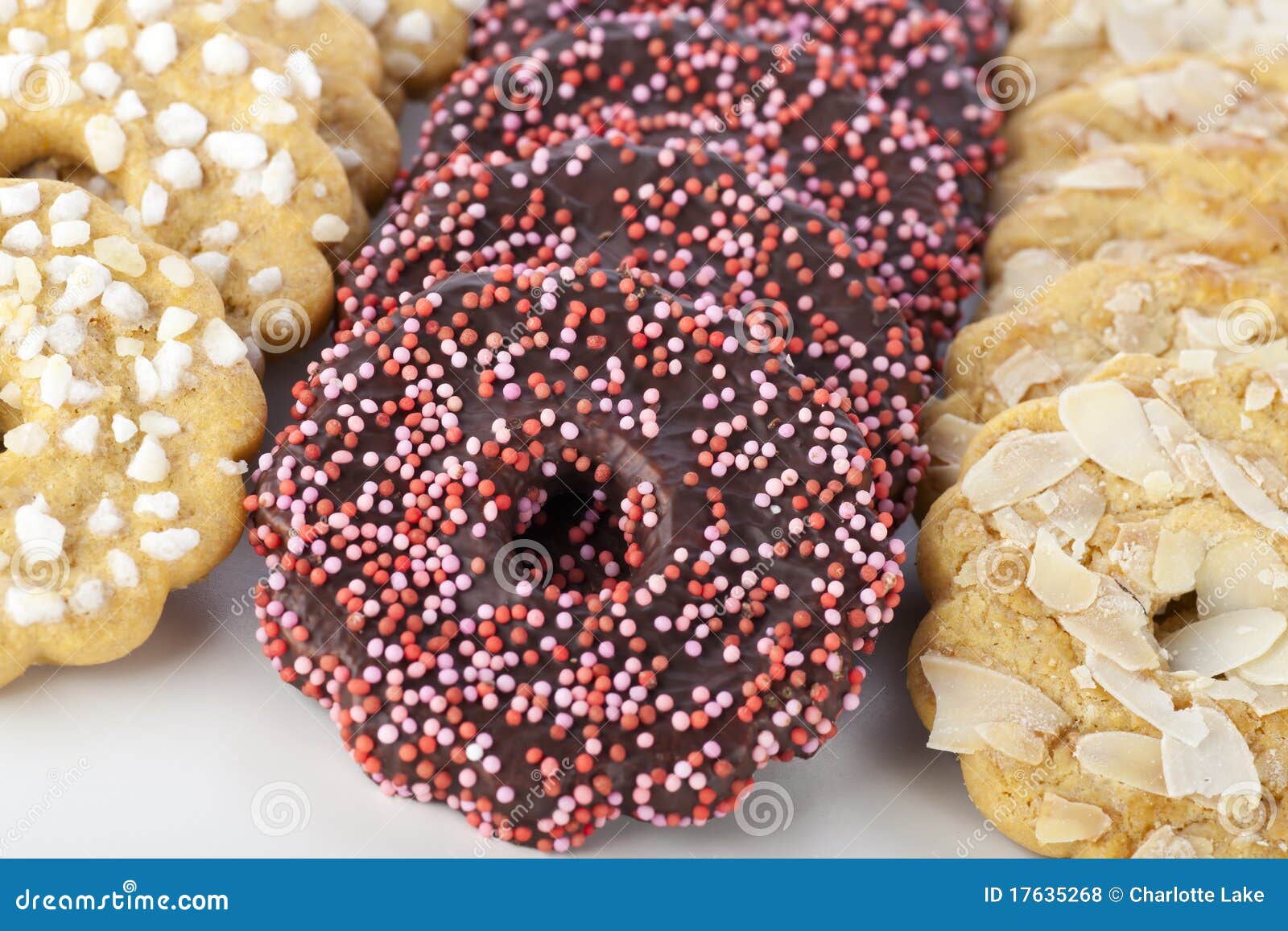 Chocolate Covered Cookies. stock photo. Image of christmas - 17635268