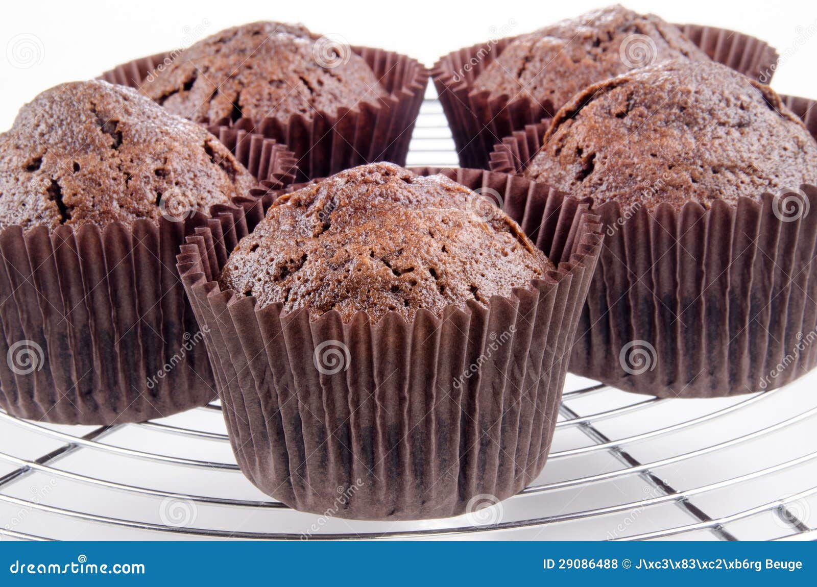 Chocolate Cupcake on a Cooling Rack Stock Photo - Image of patty, shot ...