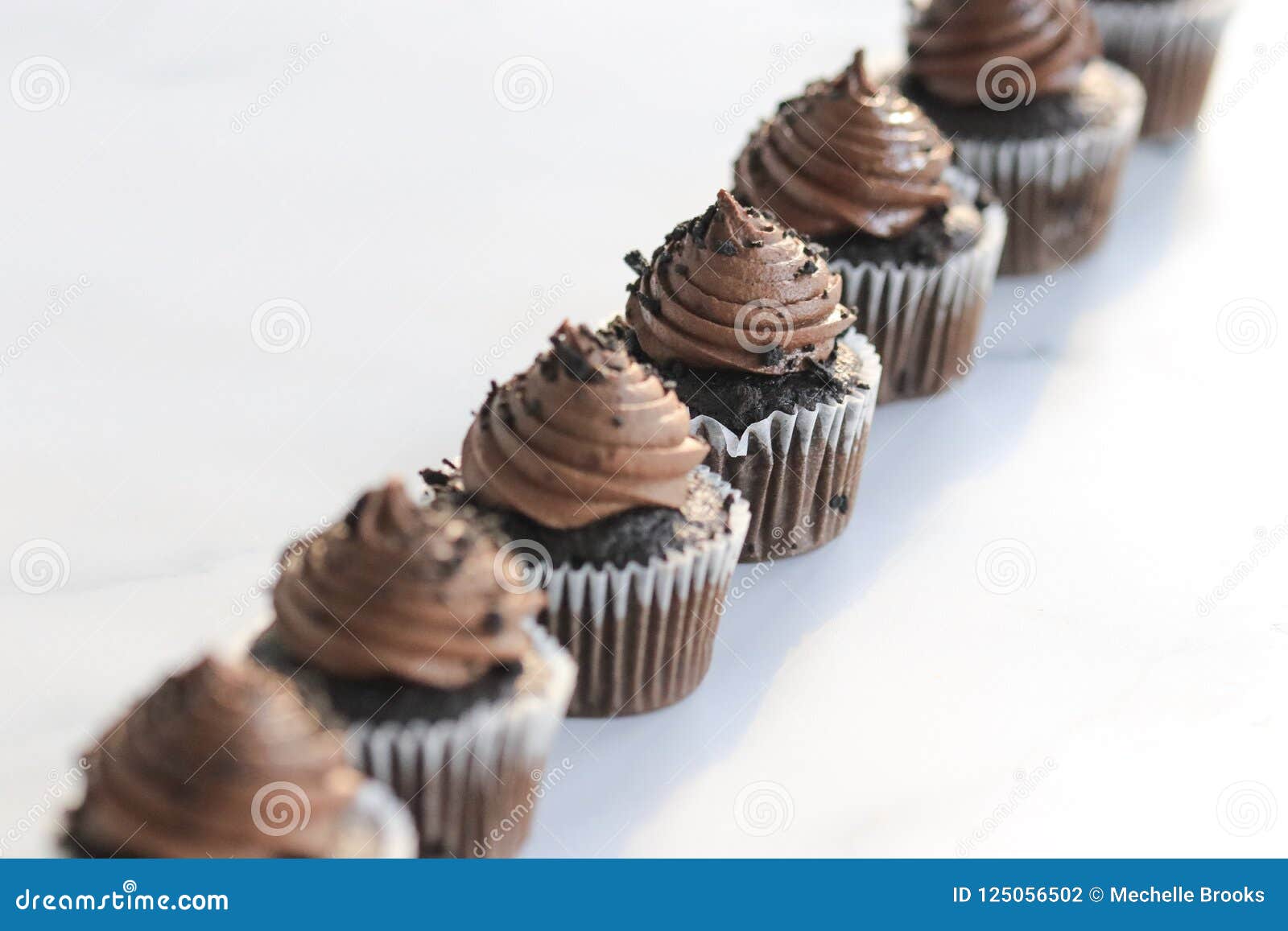 Chocolate Cupcakes in a Row Stock Photo - Image of chocolate, homemade ...