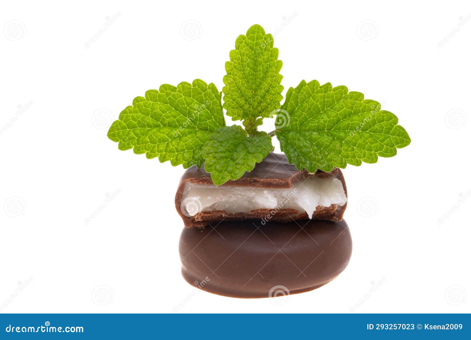 Chocolate Dark Peppermint Isolated Stock Image - Image of snack, tasty ...