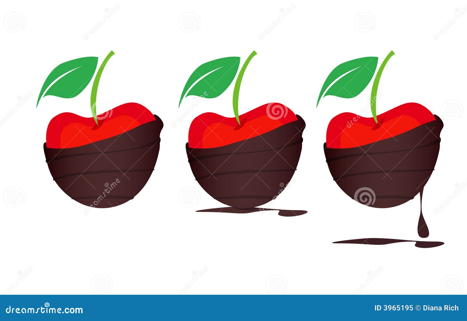 Chocolate-dipped Cherries stock vector. Illustration of snack - 3965195
