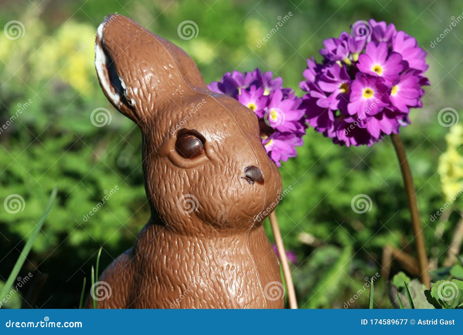 A Chocolate Easter Bunny in the Garden at Easter Stock Image - Image of ...
