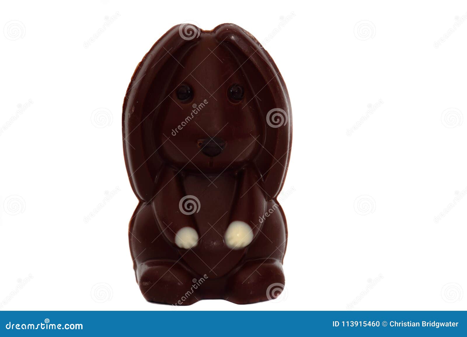 Chocolate Easter Bunny Rabbit Isolated Stock Photo - Image of culture ...