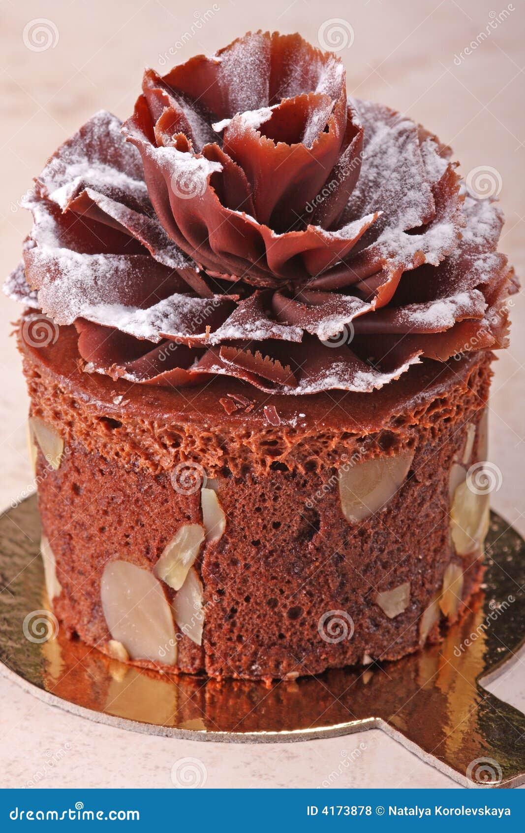 Chocolate fancy cake stock photo. Image of fancy, coffee - 4173878