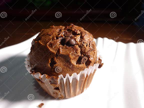 A Chocolate-flavored Muffin Cupcake with Choco Chips Topping, on a ...