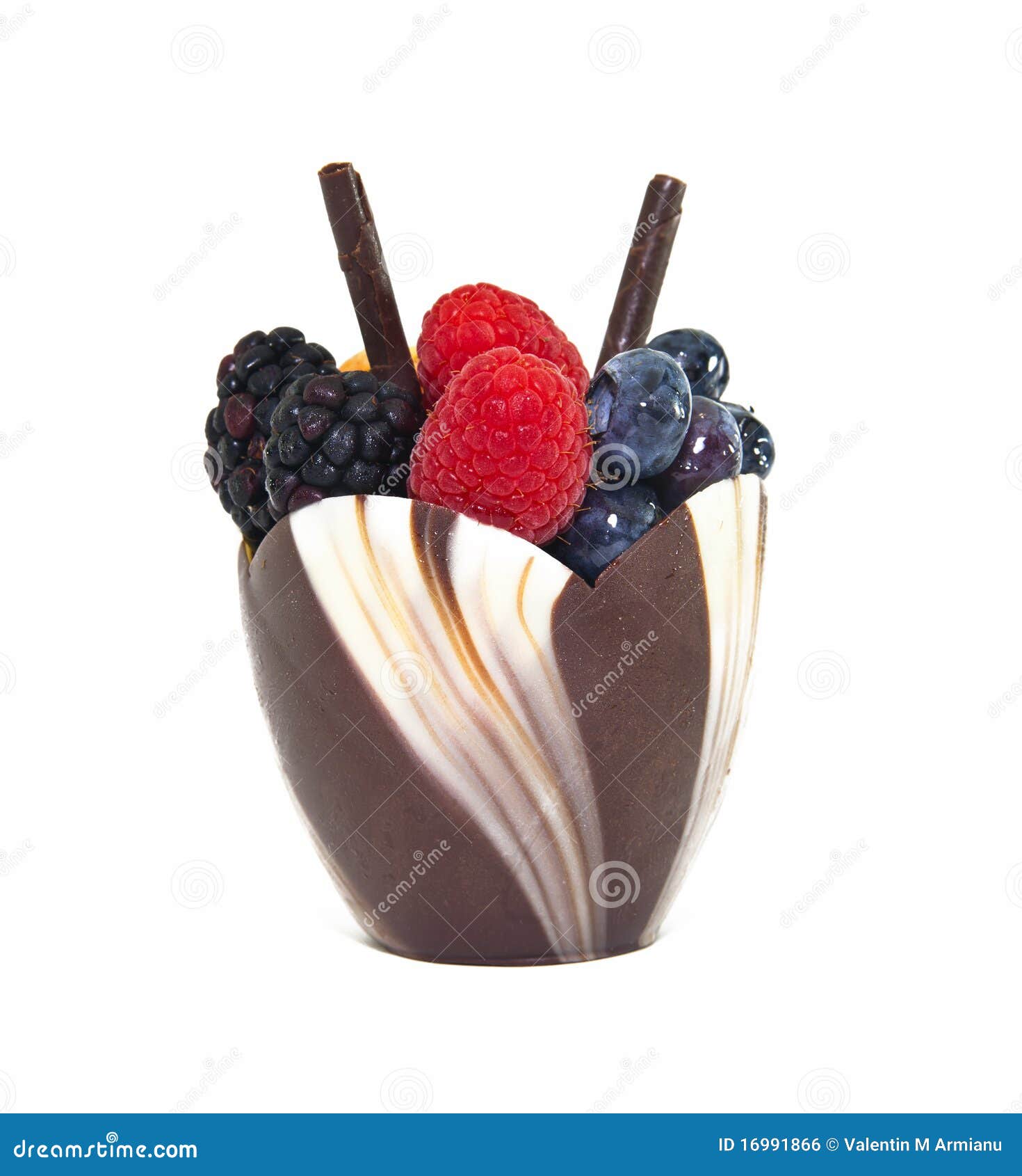 Chocolate fruit cup stock photo. Image of tasty, sweet - 16991866