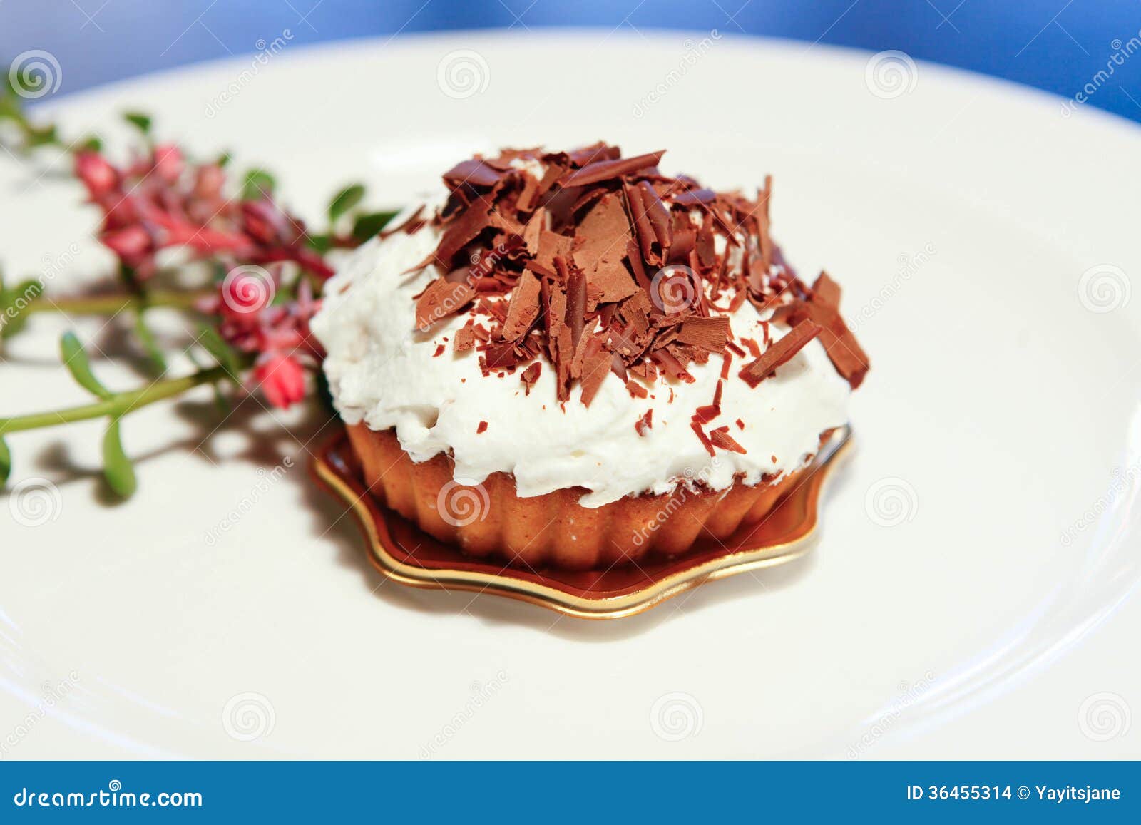 Chocolate Fruit Cup Dessert Stock Photo - Image of delicious, food ...