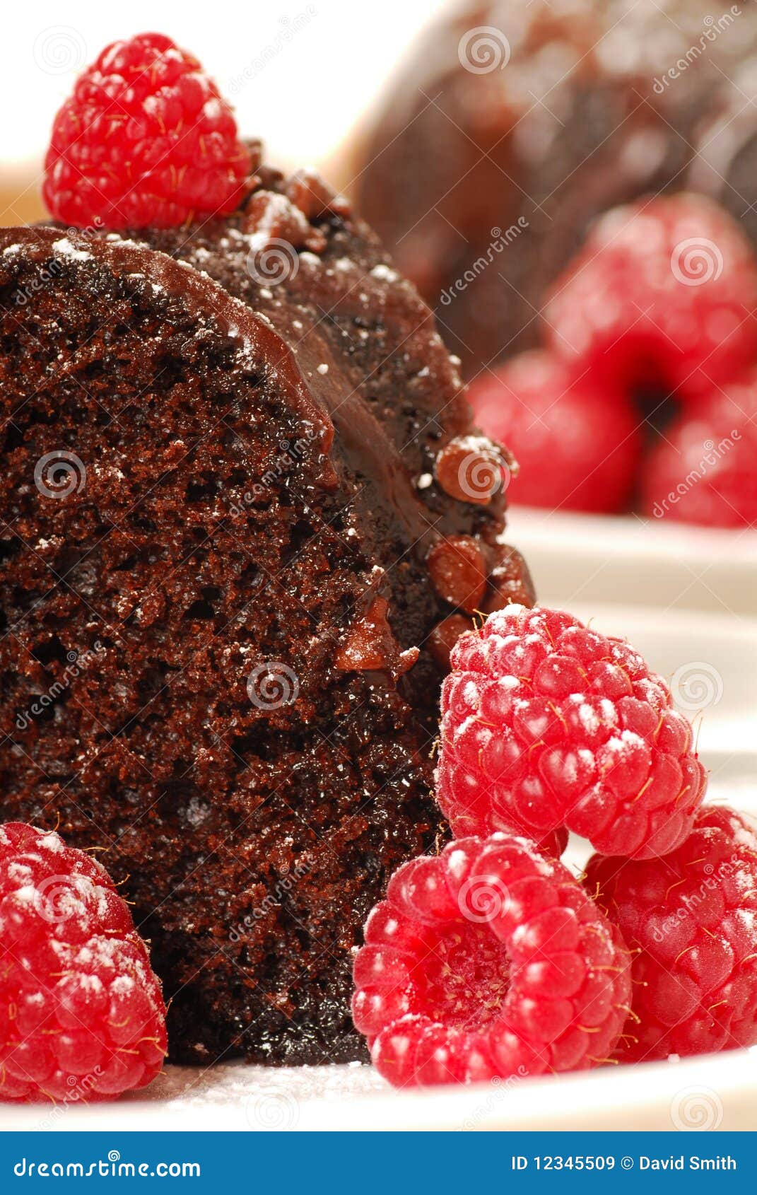 Chocolate Fudge Cake with Raspberries Stock Image - Image of gourmet ...