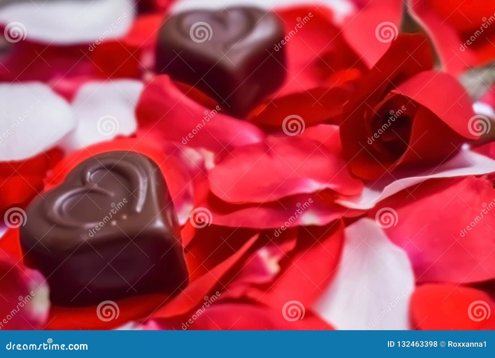 Chocolate Hearts and Red Rose Petals Stock Photo - Image of fresh ...