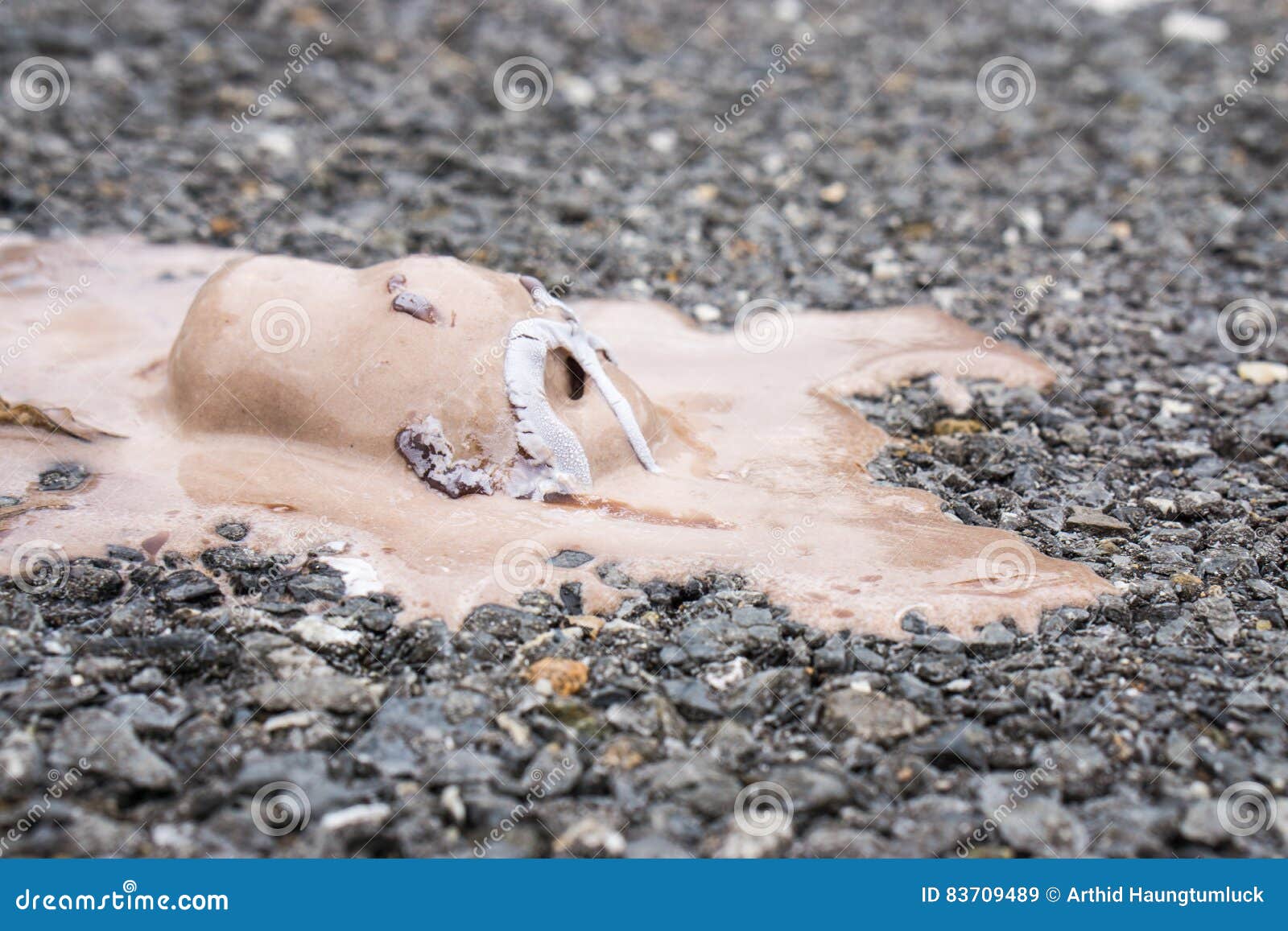 Chocolate Ice Cream Dropped Melt on Ground Stock Image - Image of ...