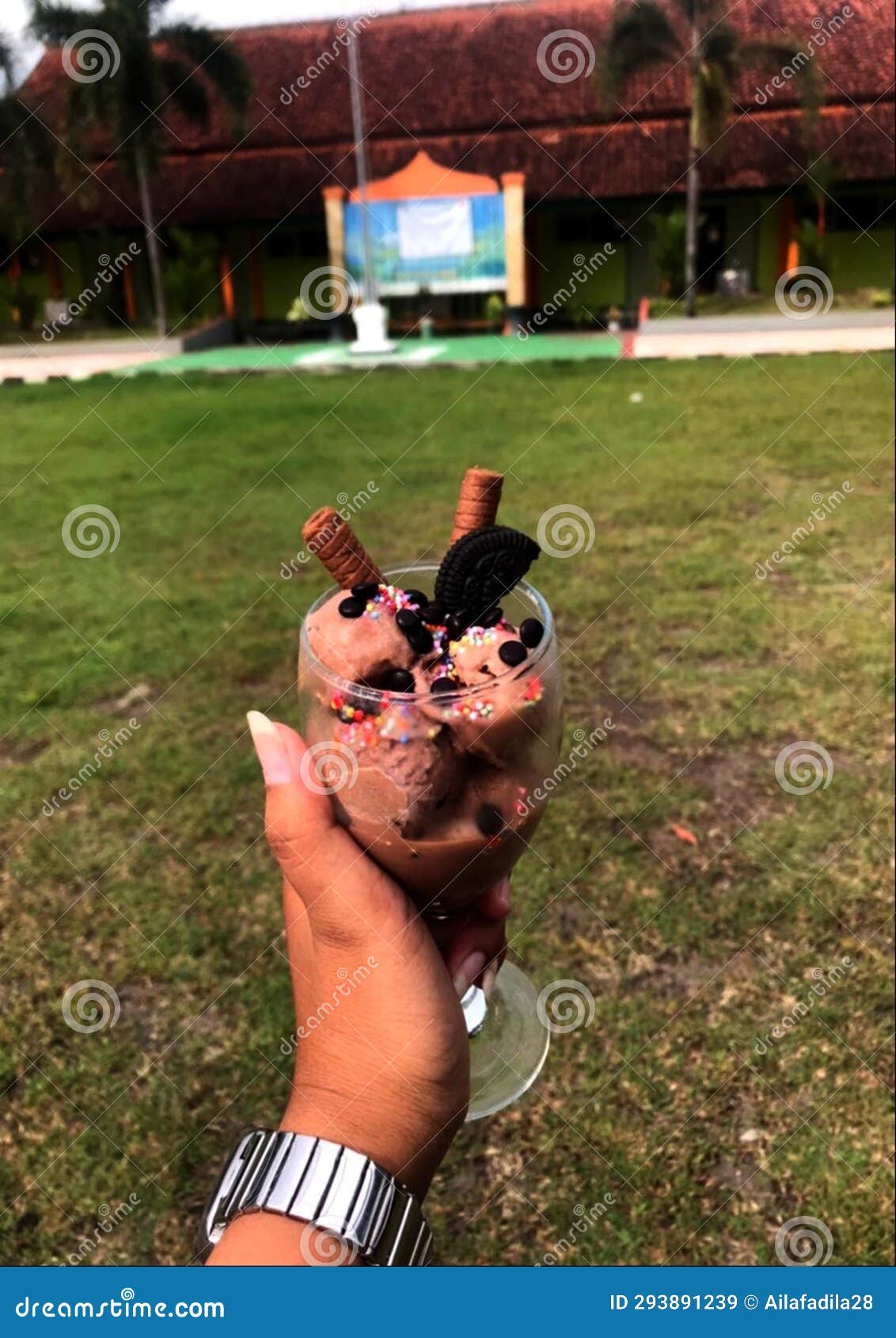 Chocolate Ice Cream with Oreo Topping and Choco Chips Stock Image ...