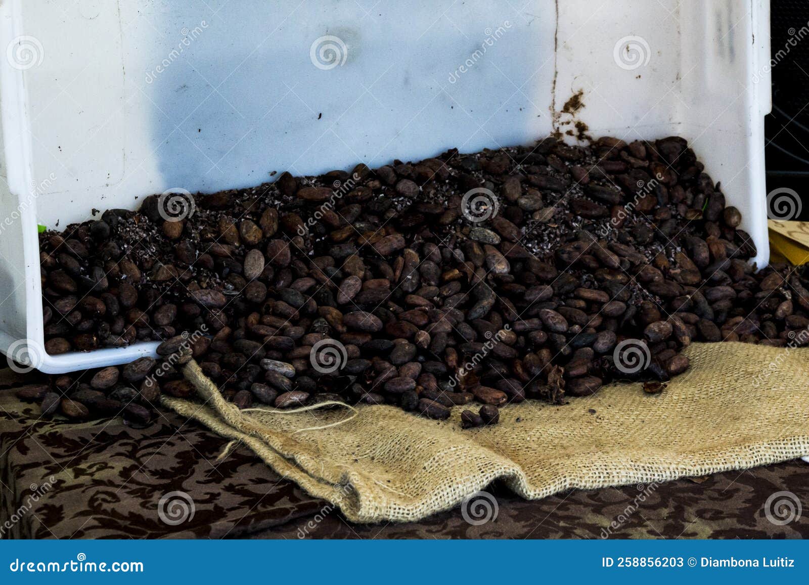 Rawest Stock Photos - Free & Royalty-Free Stock Photos from Dreamstime