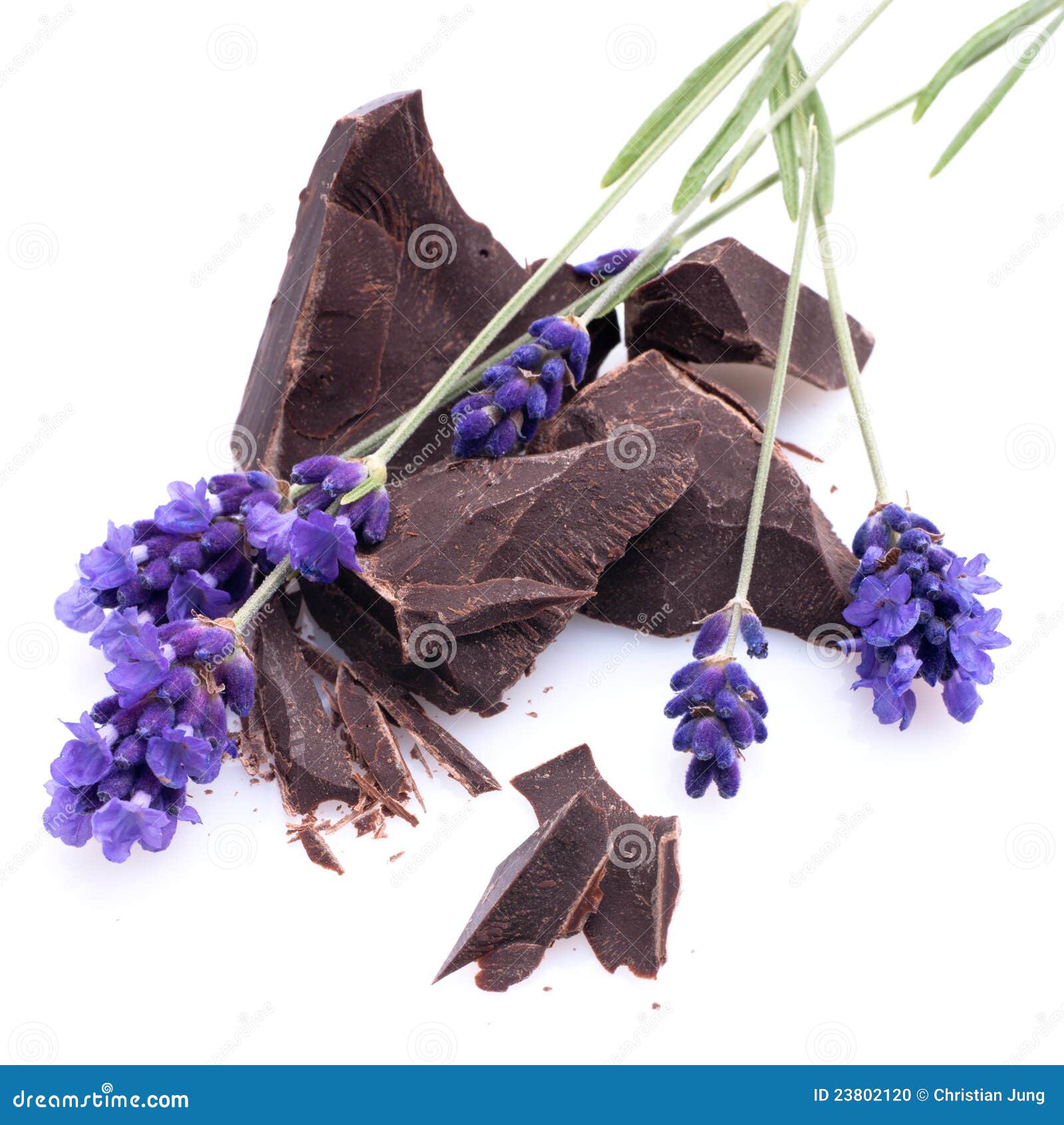 Chocolate, lavender stock photo. Image of chocolate, creative - 23802120