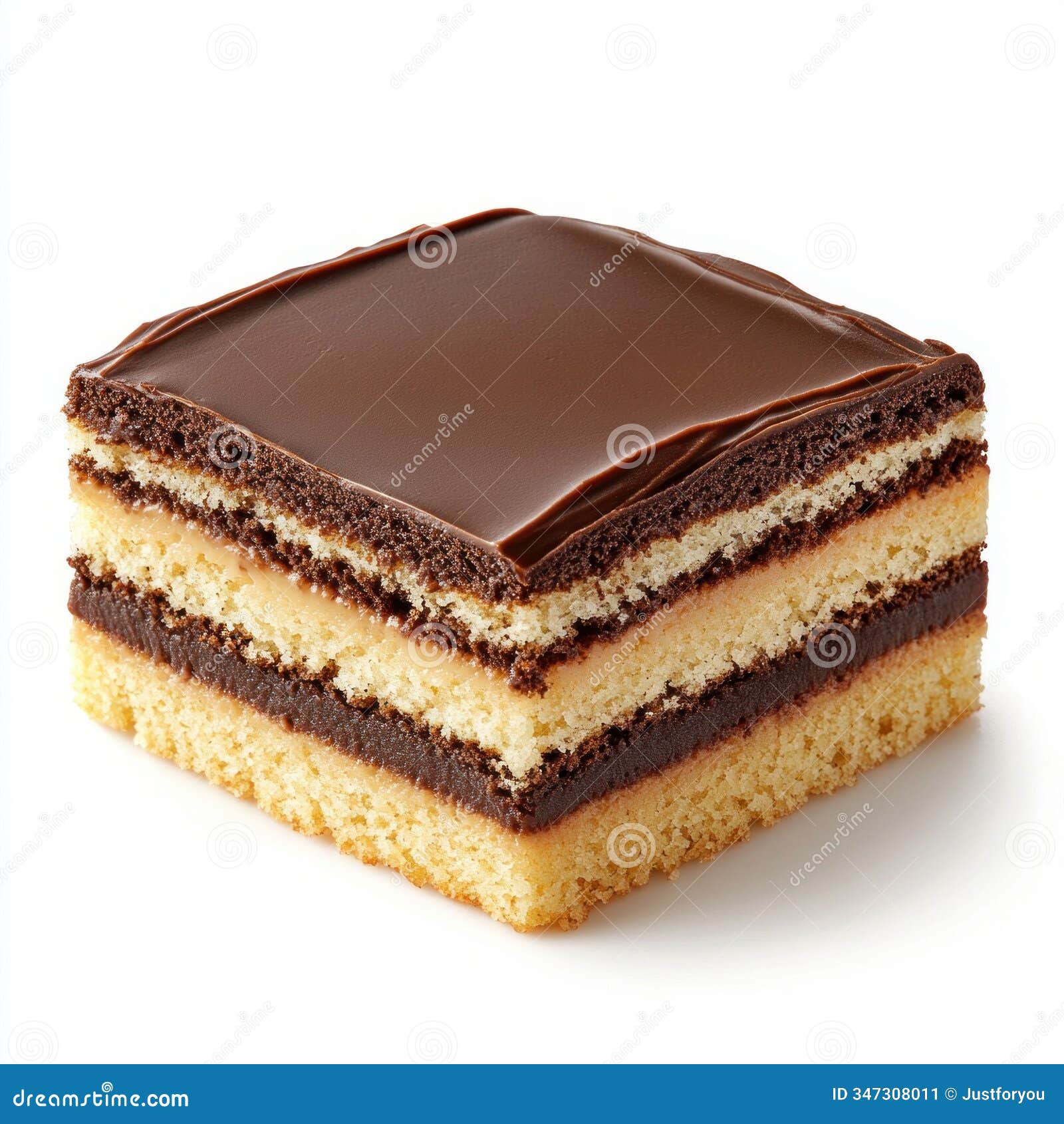 Chocolate Layered Cake Slice Isolated on White Stock Illustration ...