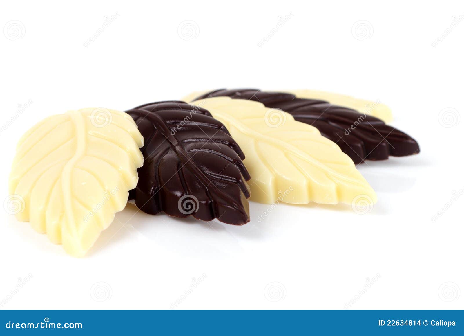 Chocolate leaves stock photo. Image of shapes, leaves - 22634814