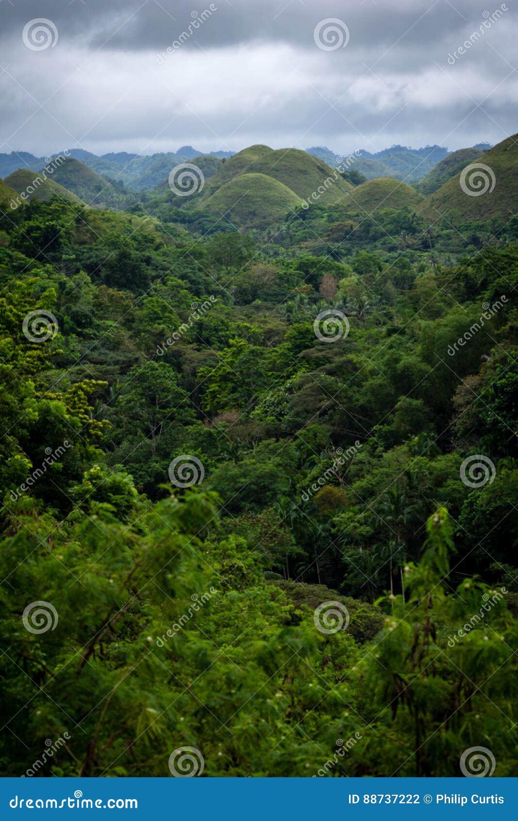 Chocolate Mountains of Bohol Island Stock Photo - Image of jungle ...