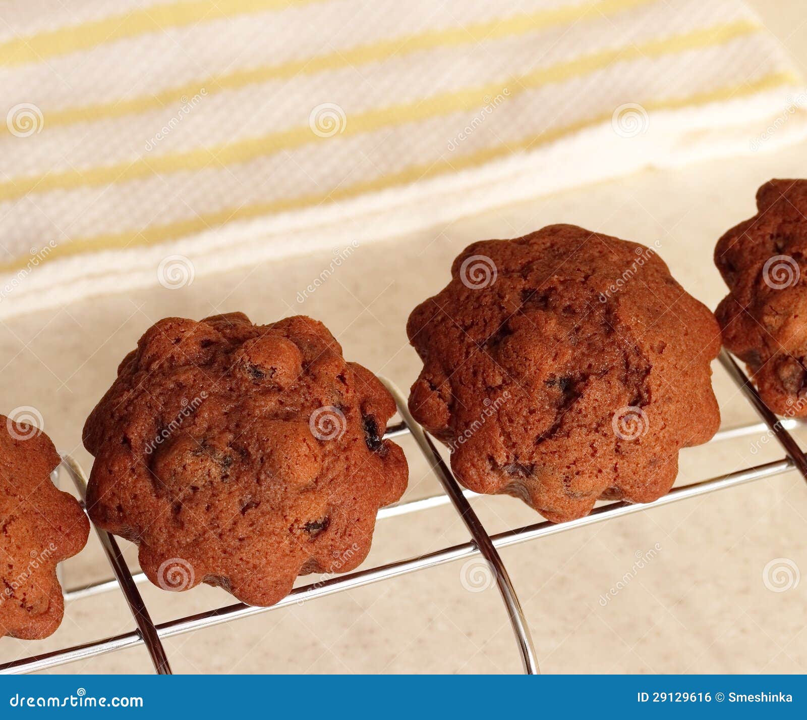 Chocolate Muffins with Raisins on a Wire Rack Stock Photo - Image of ...