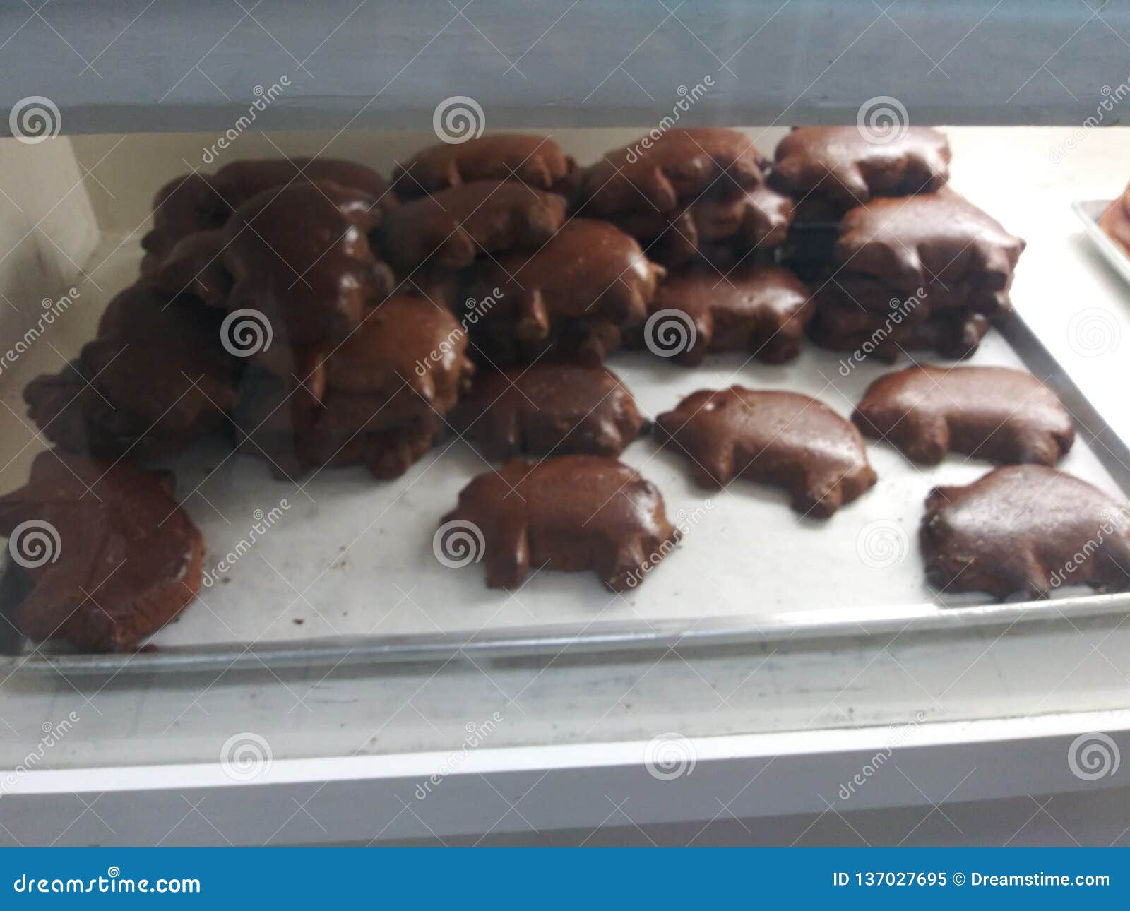 Chocolate Pigs stock image. Image of itema, chocolate - 137027695