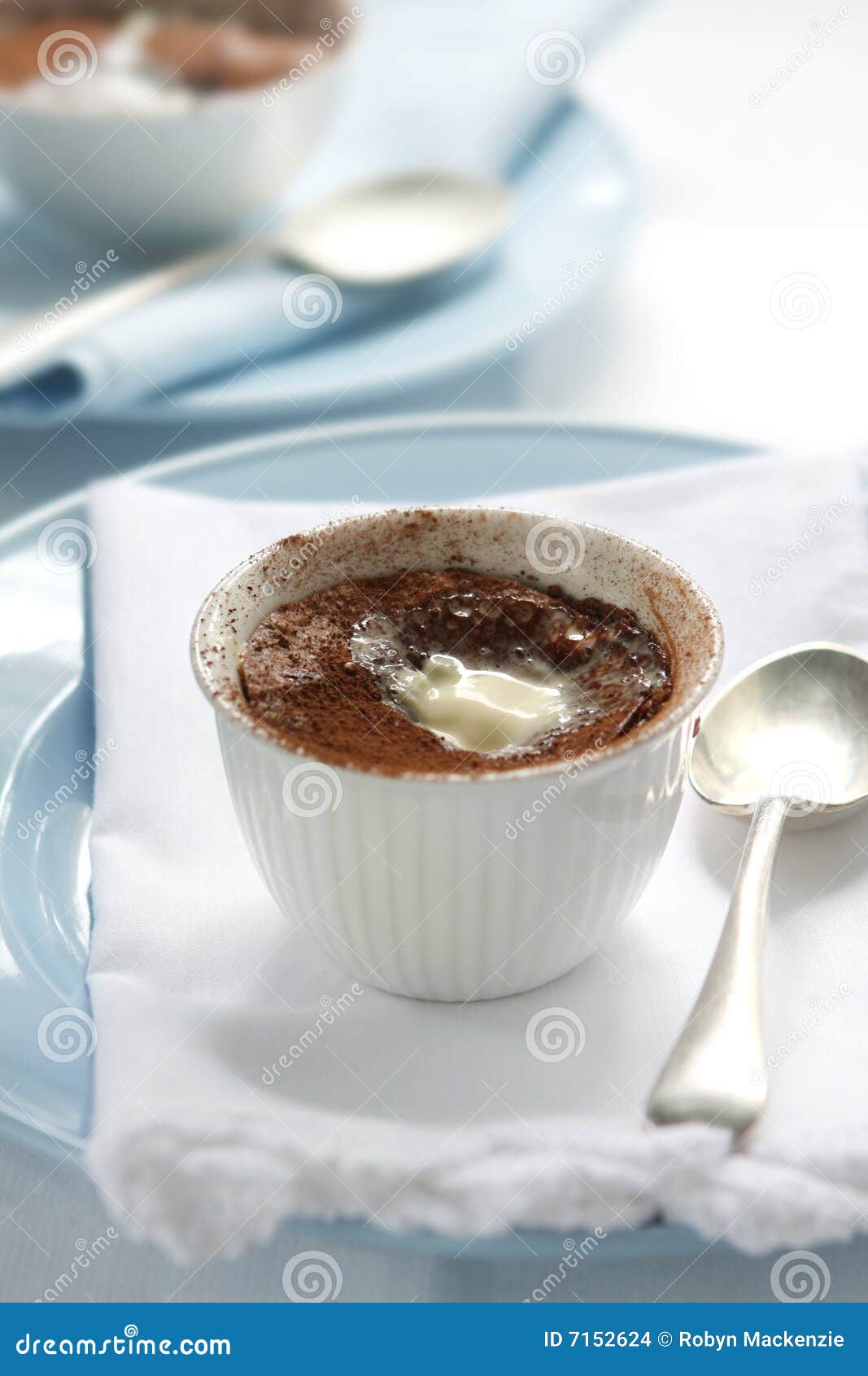 Chocolate Pudding stock photo. Image of photograph, vertical - 7152624