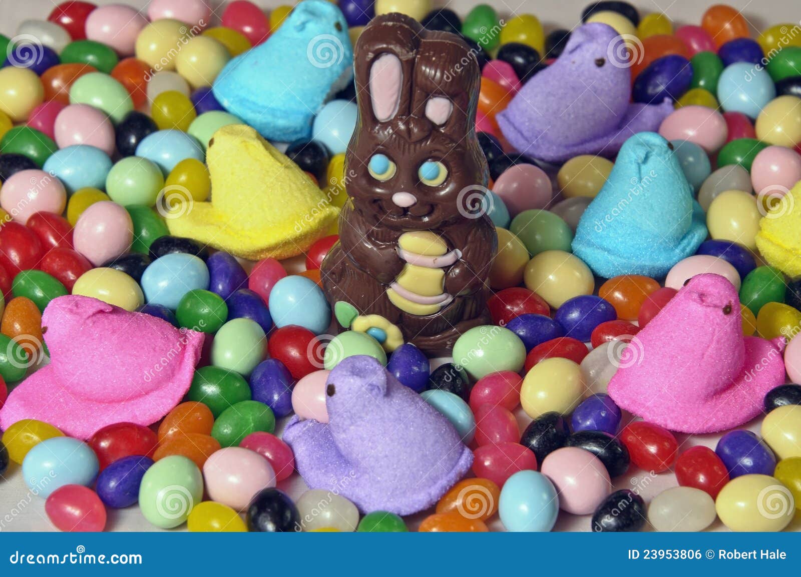 Chocolate Rabbit stock photo. Image of treats, rabbit - 23953806