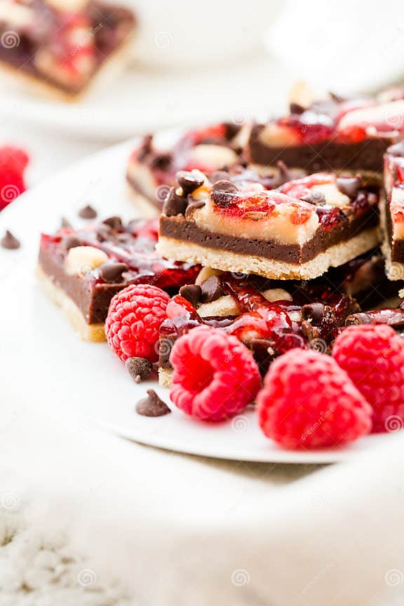 Chocolate Raspberry Squares Stock Image - Image of kitchenware, food ...