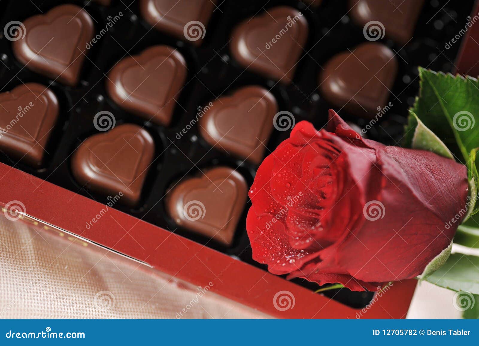Chocolate and red rose stock photo. Image of wedding - 12705782