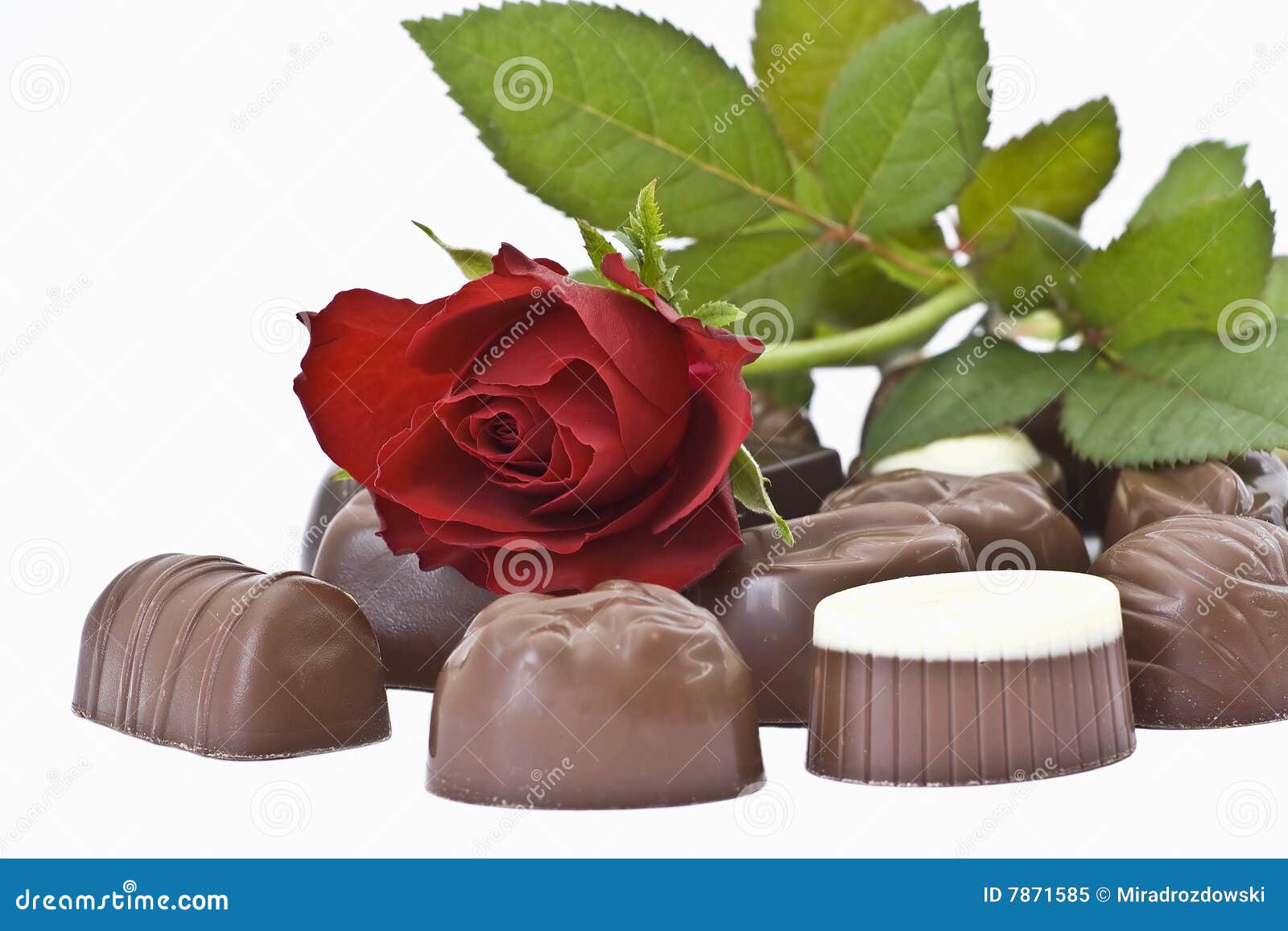 Chocolate and roses stock image. Image of summer, feelings - 7871585