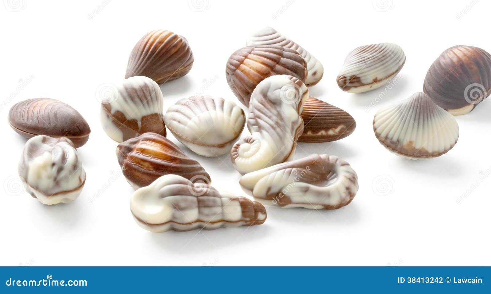 Chocolate Seashell Truffles Stock Photo - Image of piece, delicious ...