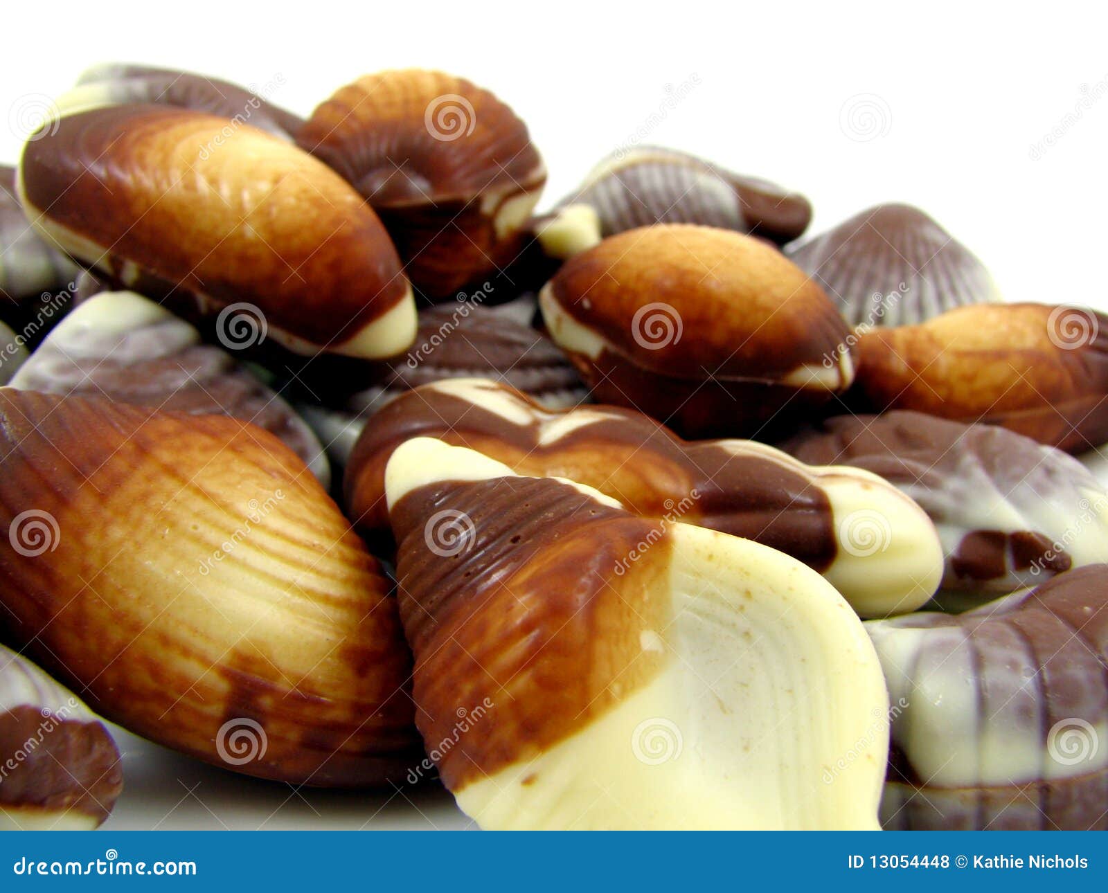Chocolate Seashells stock photo. Image of junk, food - 13054448
