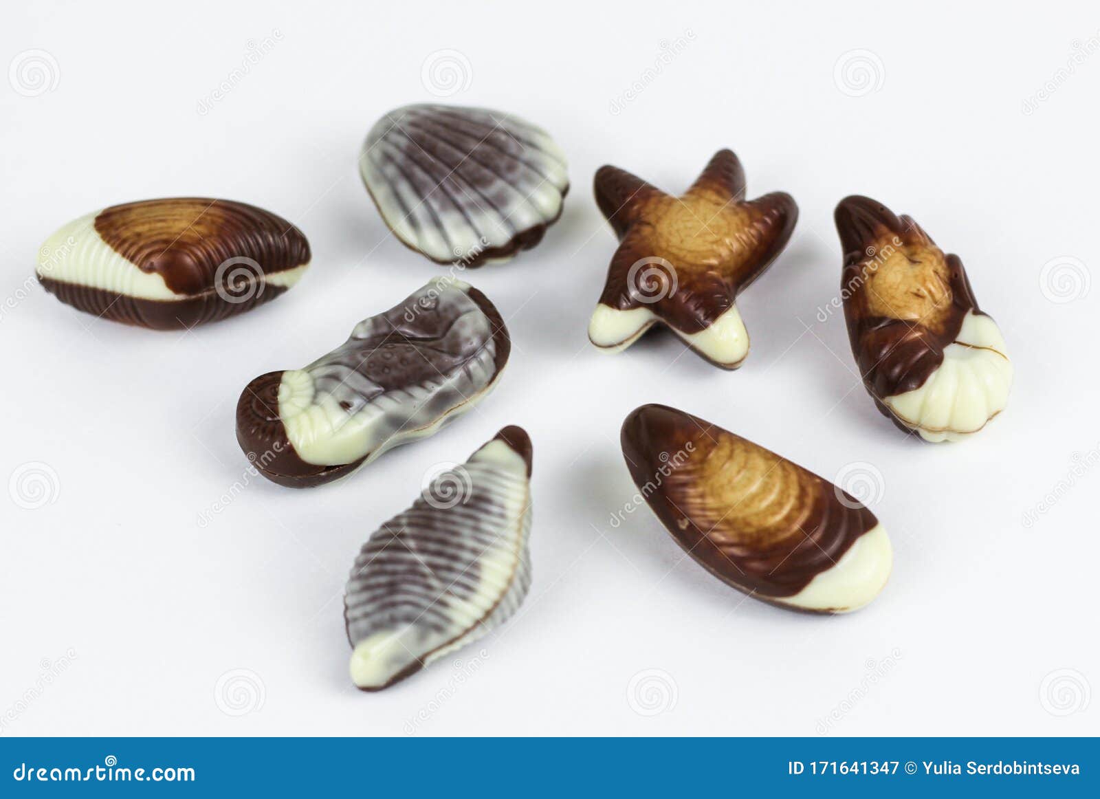 Beautifully Chocolate Seashells Isolated on White Background Stock ...