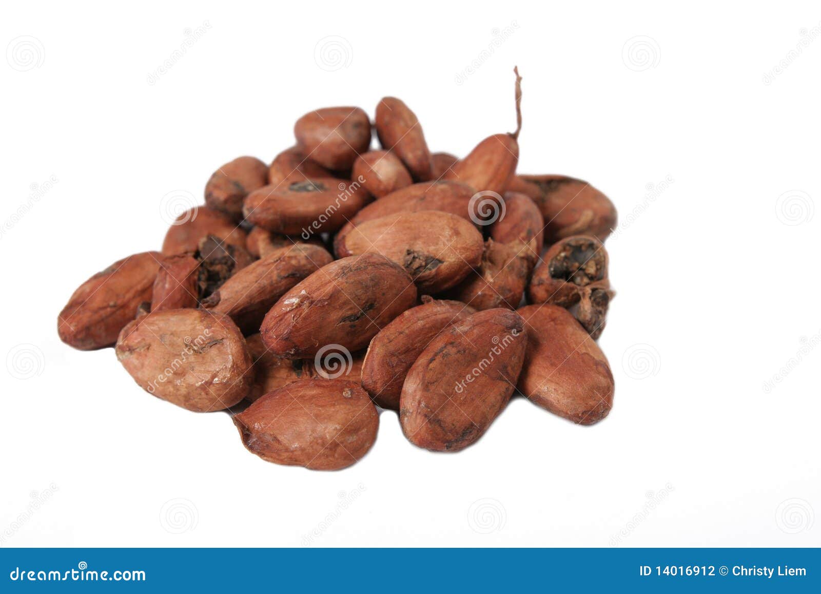 Chocolate seeds stock photo. Image of sweet, cook, flavor - 14016912