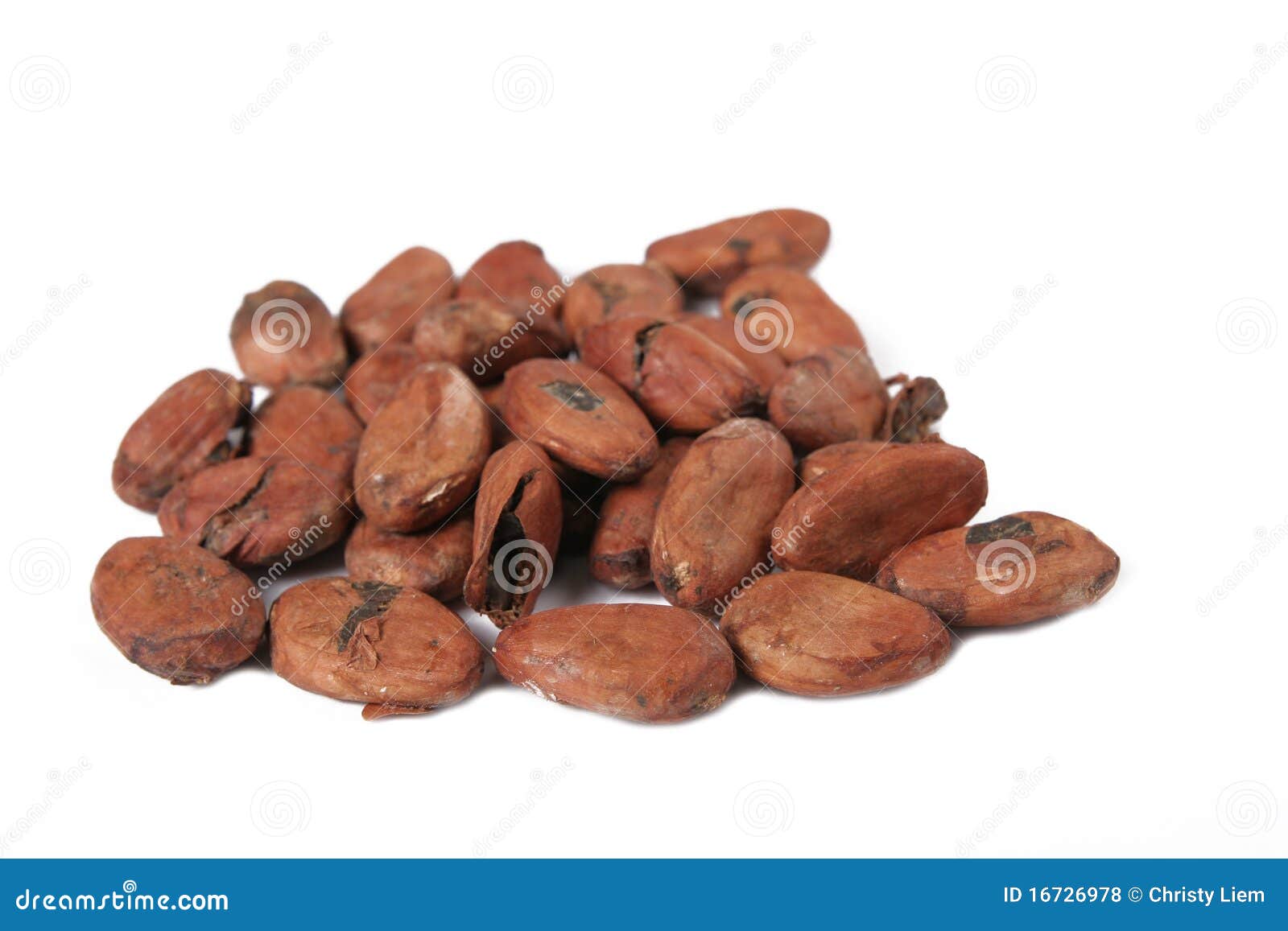 Chocolate seeds stock photo. Image of delicious, chocolate - 16726978