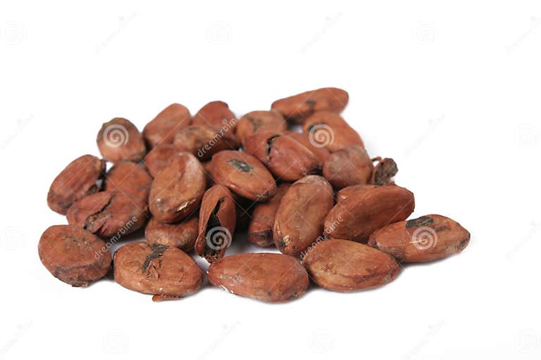 Chocolate seeds stock photo. Image of delicious, chocolate - 16726978