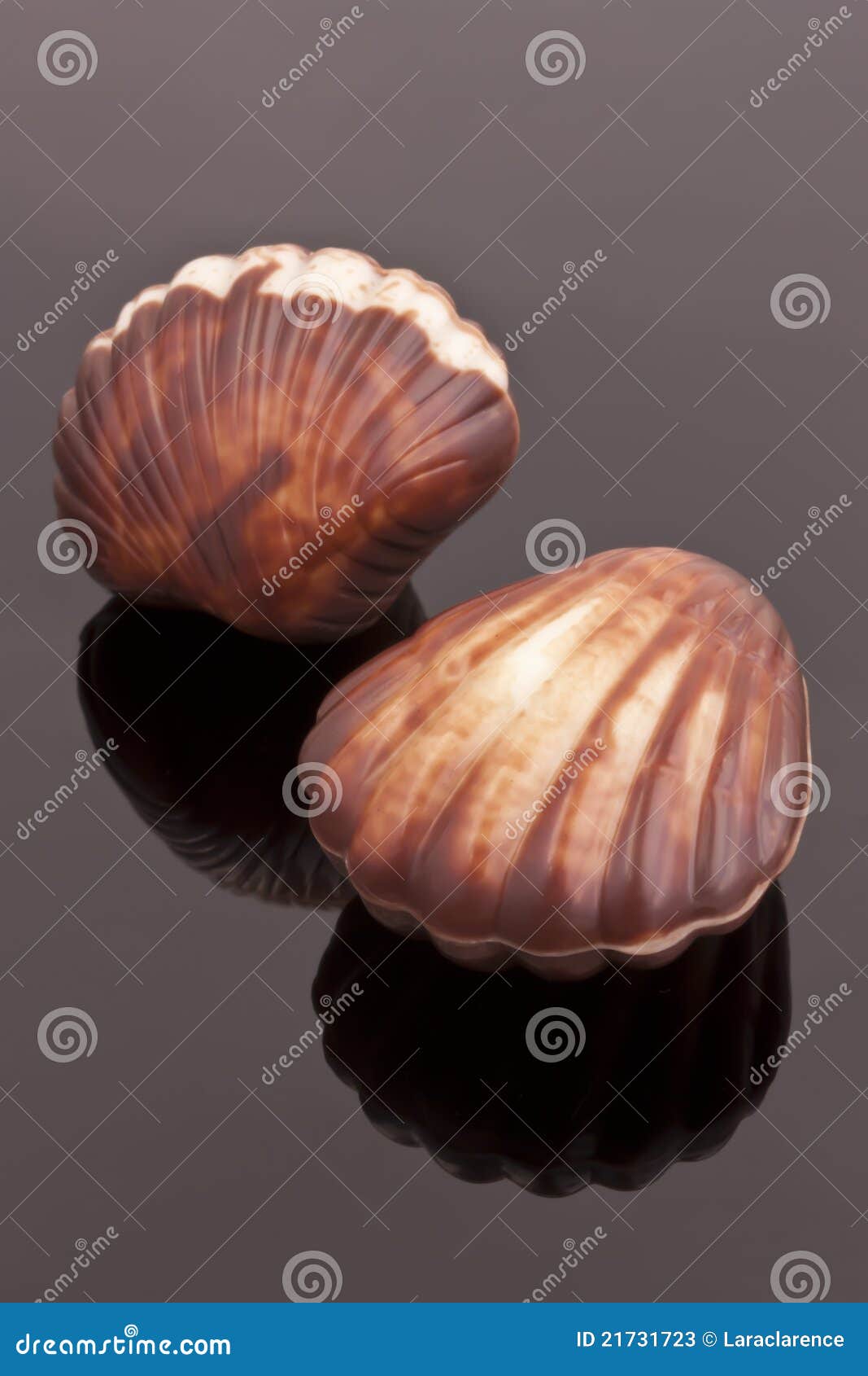 Chocolate shells stock image. Image of candy, black, dessert - 21731723