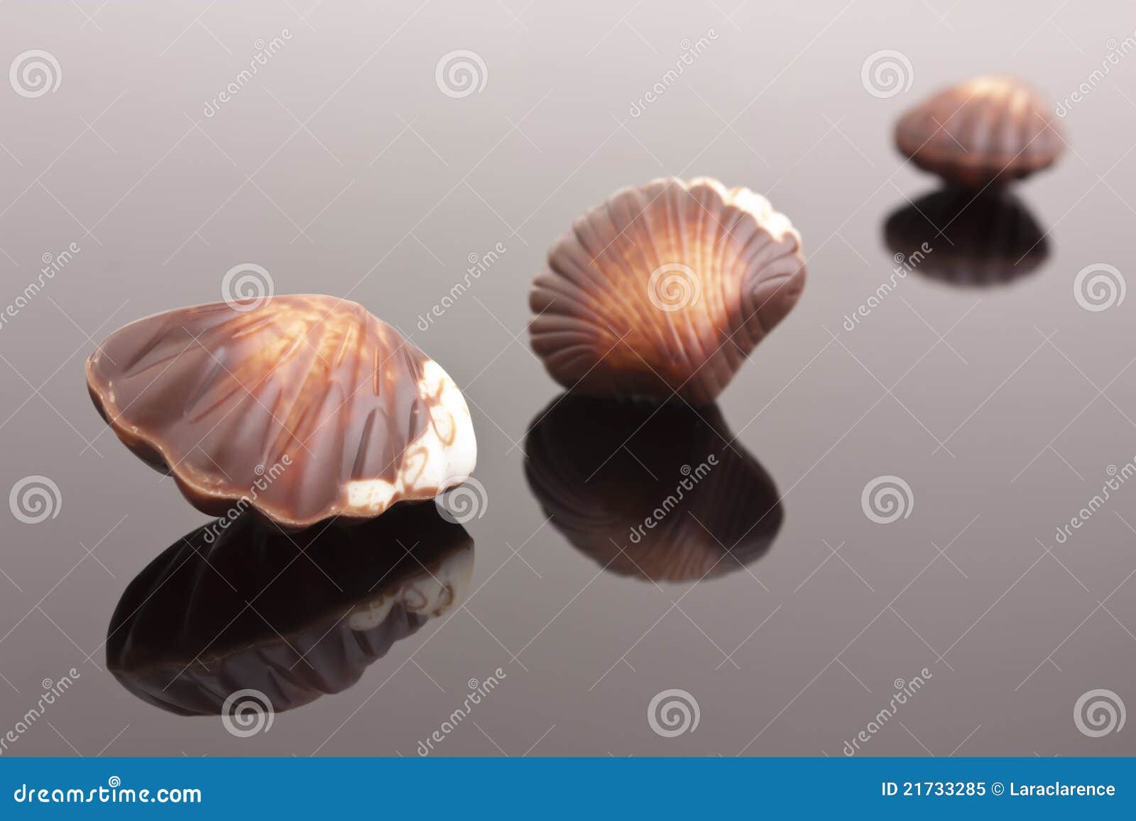 Chocolate shells stock image. Image of appetite, bonbon - 21733285