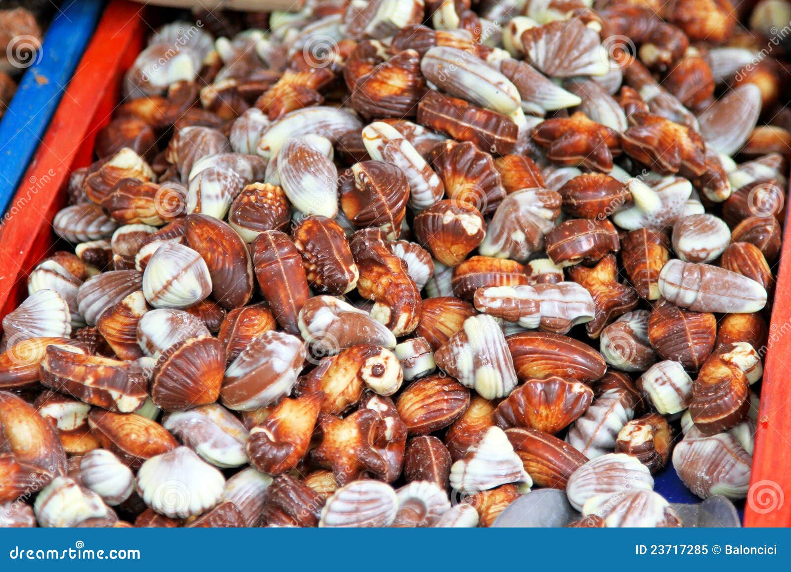 Chocolate shells stock image. Image of sweets, dessert - 23717285