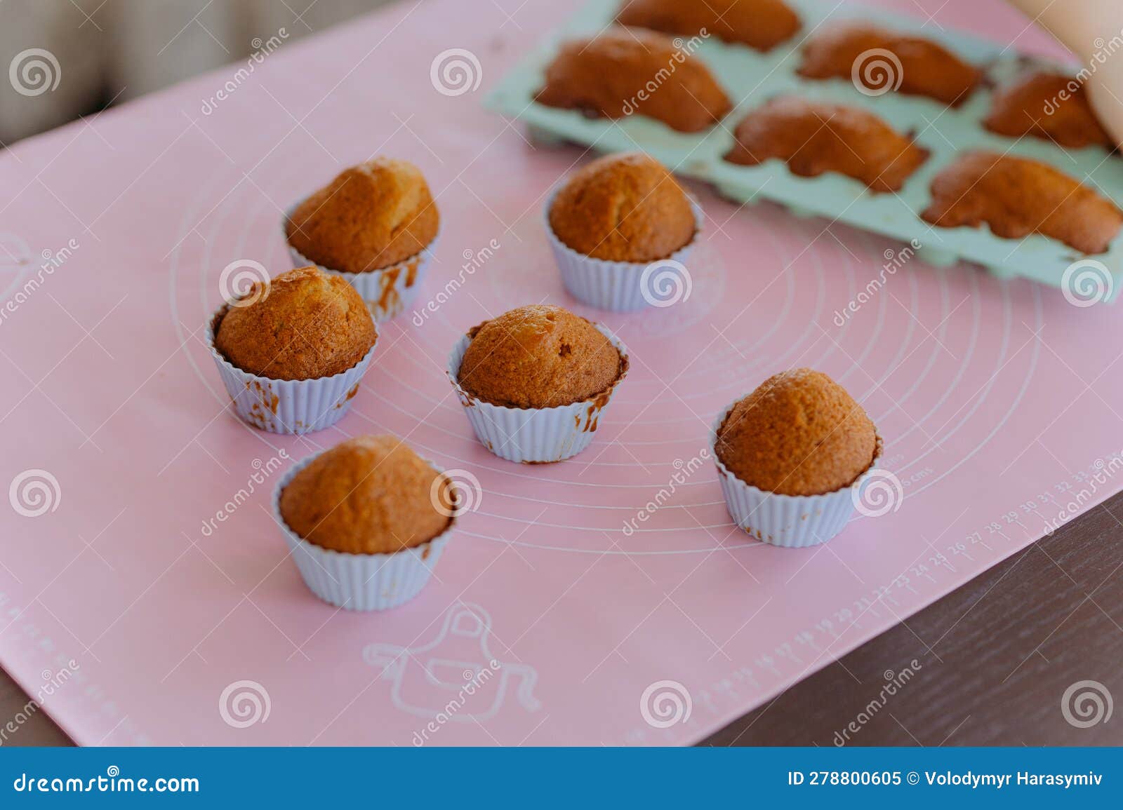 Chocolate Sponge Cookies Freshly Baked on the Table. Baking, Cookies in ...