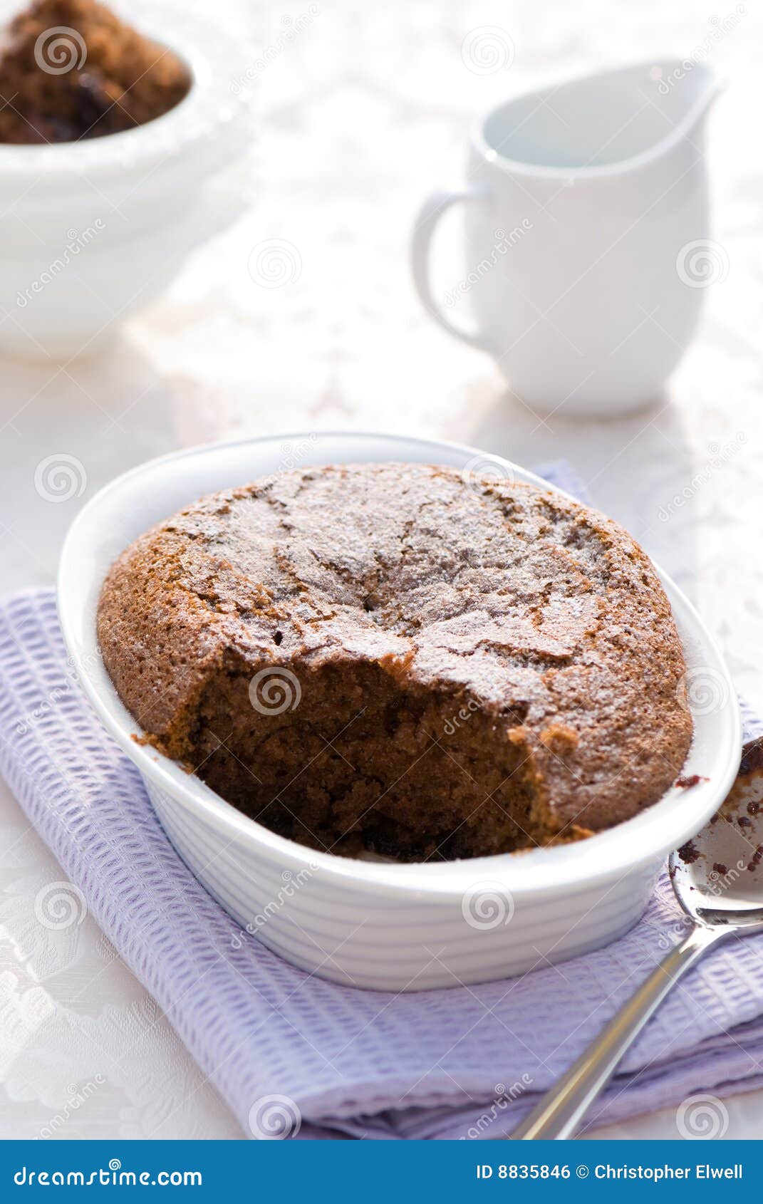 Chocolate Sponge Pudding stock photo. Image of dish, eating - 8835846