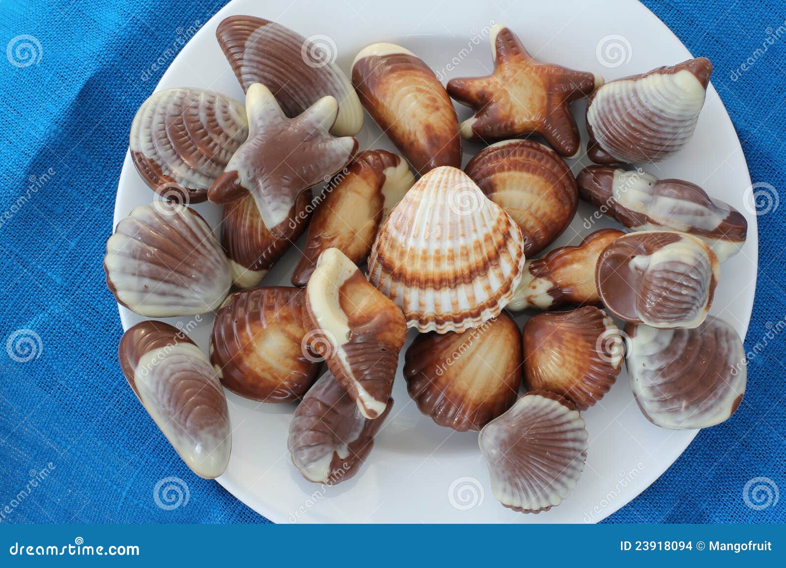 Chocolate Sweets and Seashells Stock Photo - Image of dessert, brown ...